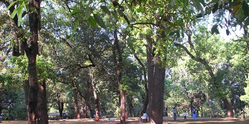 11 Beautiful Pre Wedding Shoot Locations in Lonavala | Locations Hub